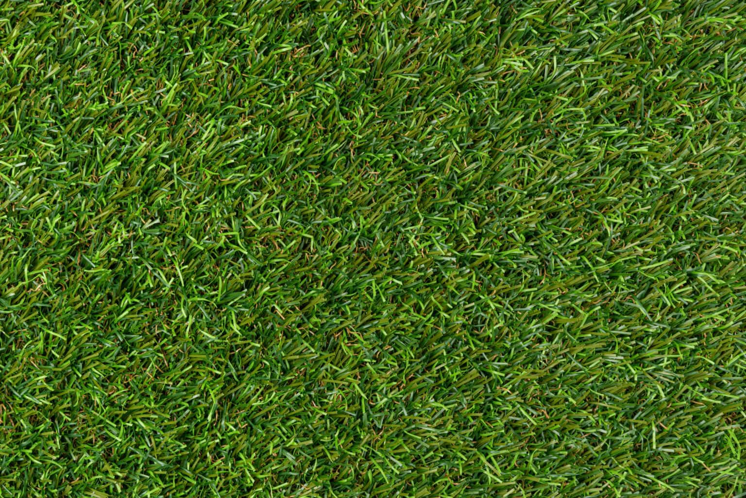 Emery | Namgrass Artificial Grass